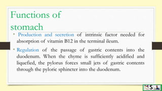 Digestive system part 2 ( pharynx, esophagus and stomach) english | PPTX