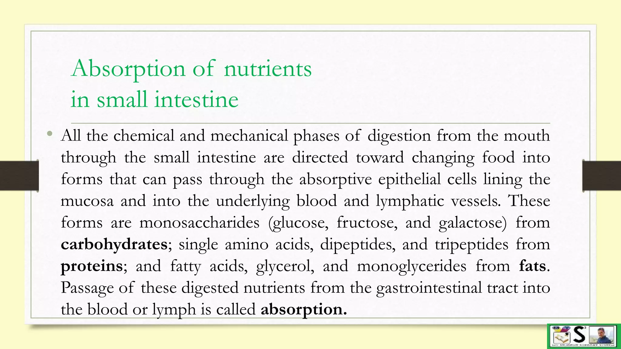 Digestive system part 3 (small and large intestine) english | PPTX