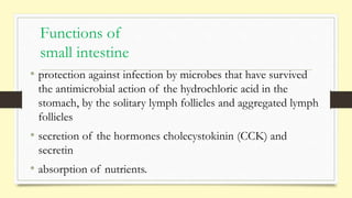 Digestive system part 3 (small and large intestine) english | PPTX