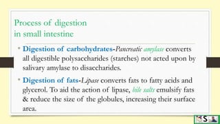 Digestive system part 3 (small and large intestine) english | PPTX