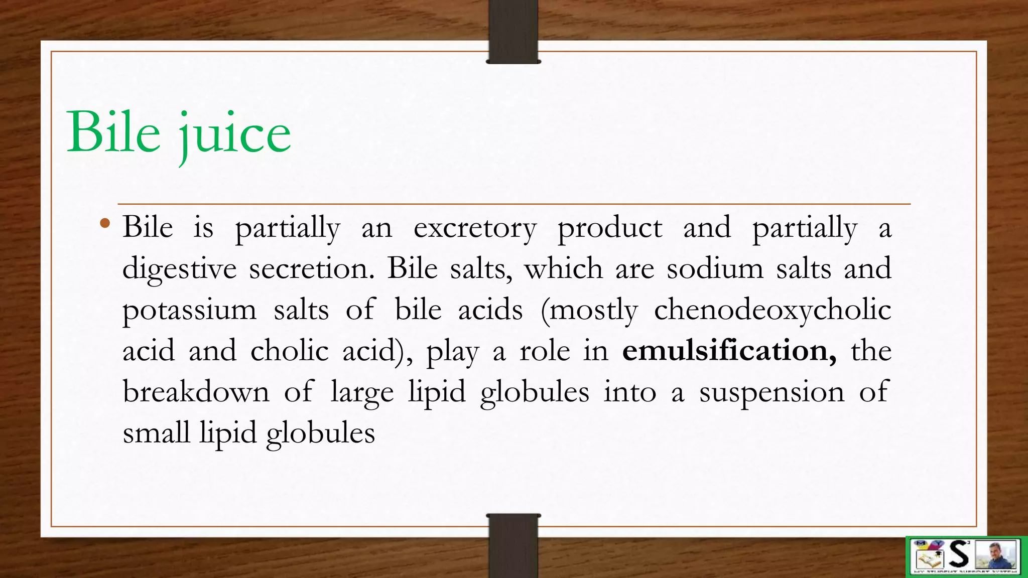 Digestive system part 4 (pancreas, liver and gall bladder) english | PPTX