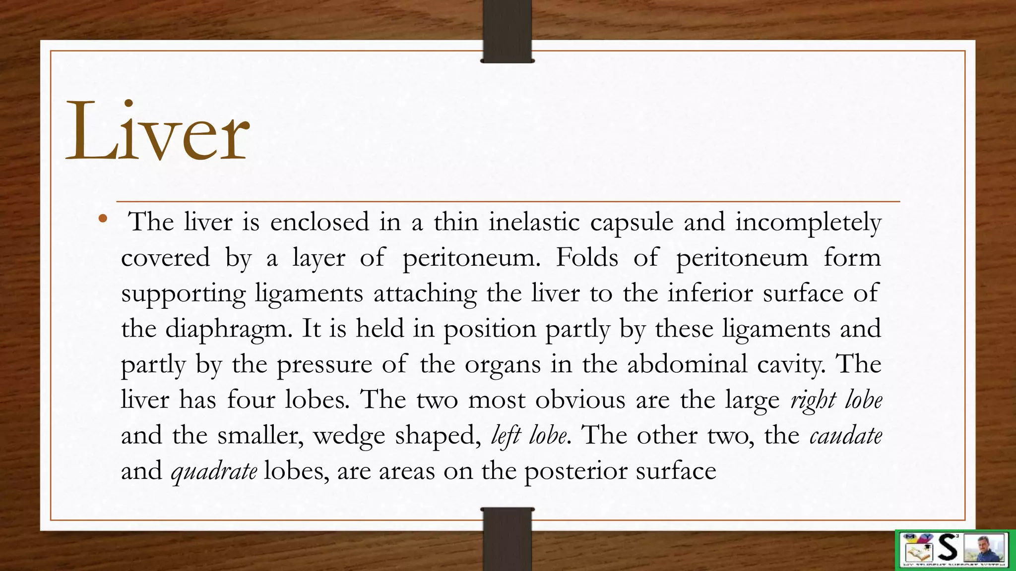 Digestive system part 4 (pancreas, liver and gall bladder) english | PPTX