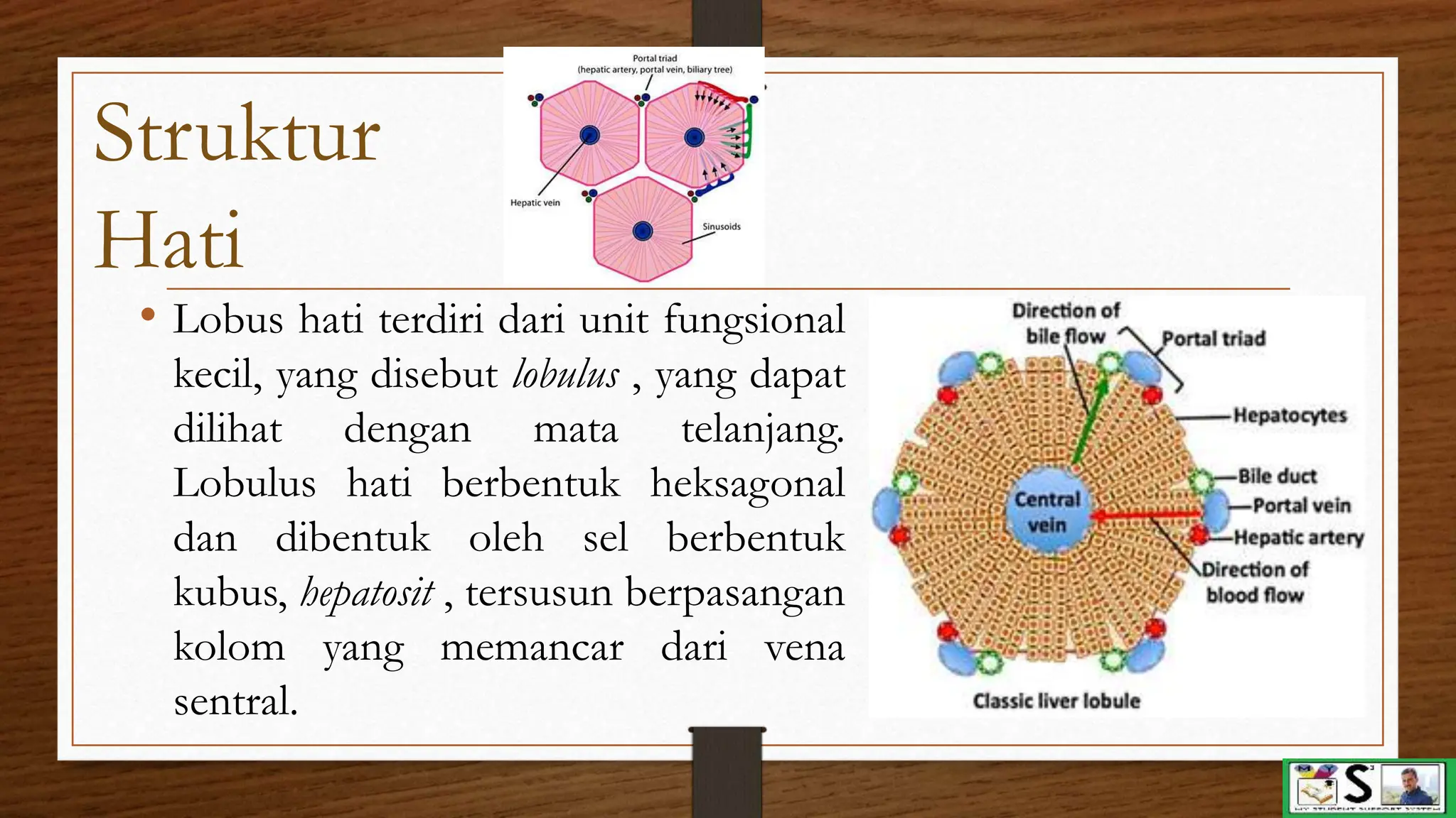 digestivesystempart4pancreasliverandgallbladder-english-210920134443 (1 ...