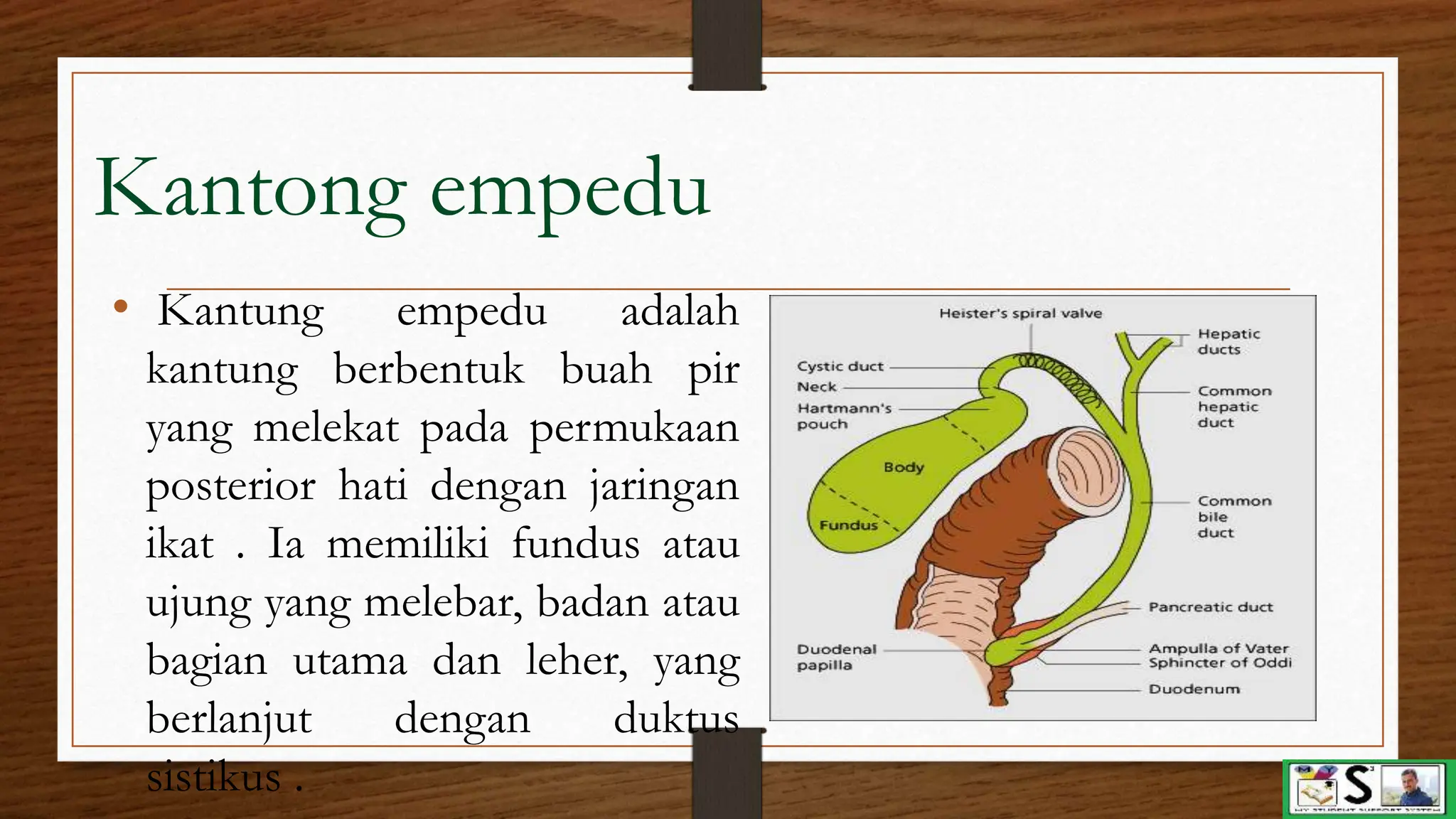 digestivesystempart4pancreasliverandgallbladder-english-210920134443 (1 ...