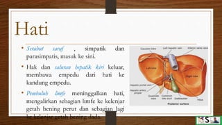 digestivesystempart4pancreasliverandgallbladder-english-210920134443 (1 ...