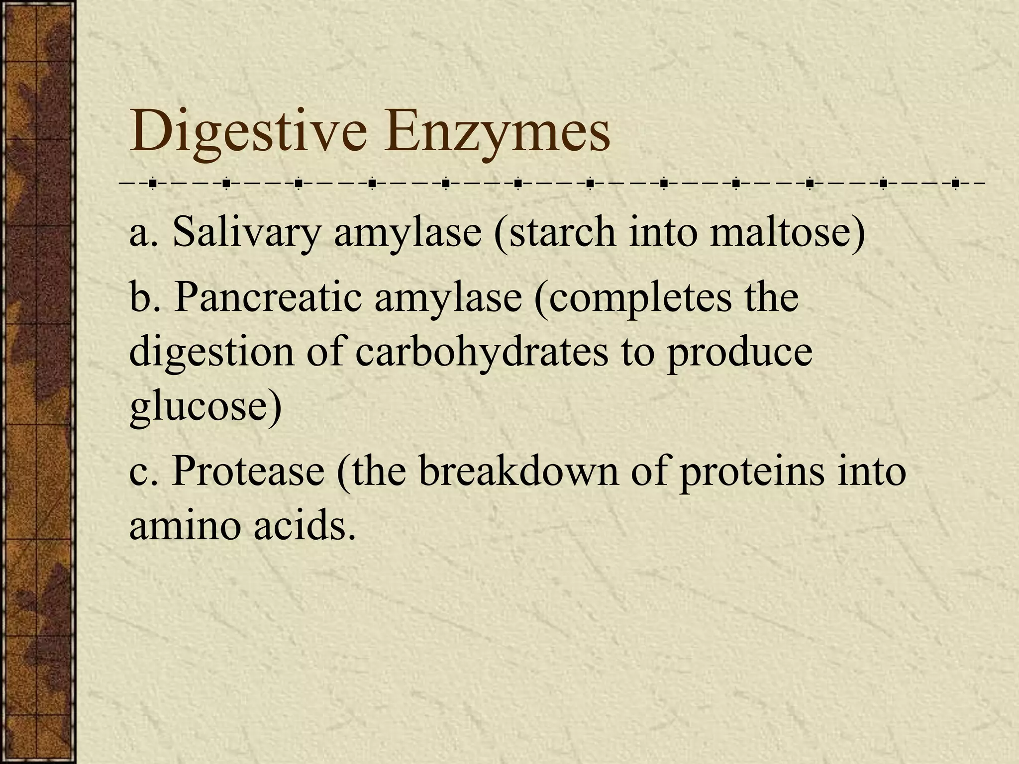 digestivesystempartsandfunction-090729111619-phpapp02.ppt