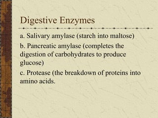 digestivesystempartsandfunction-090729111619-phpapp02.ppt