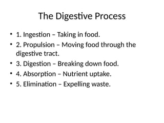 Digestive_System_Parts_and_Functions.pptx