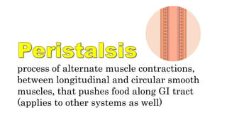 Digestive System parts and functions.pdf