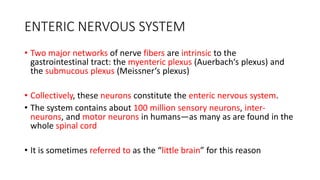 Digestive system physiology | PPT