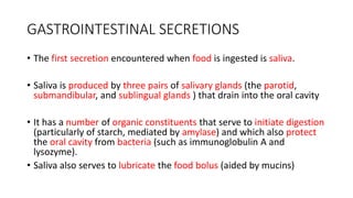 Digestive system physiology | PPT