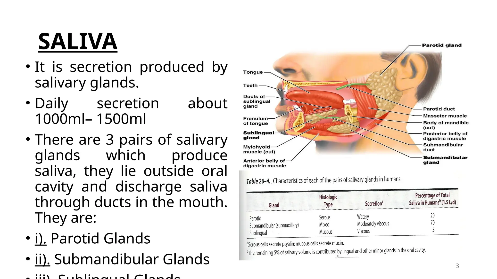 Digestive system physiology-salivery glands.pptx