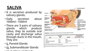 Digestive system physiology-salivery glands.pptx