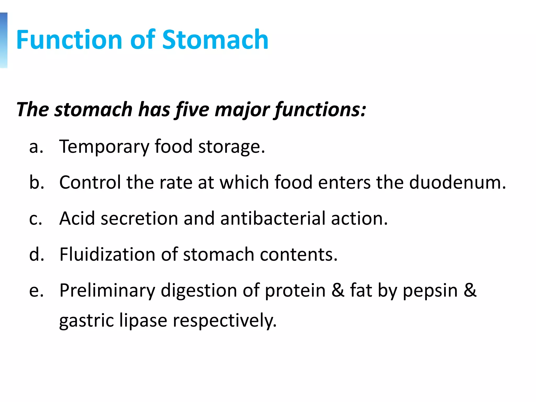 Digestive system Physiology1.pptx