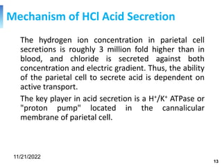Digestive system Physiology1.pptx