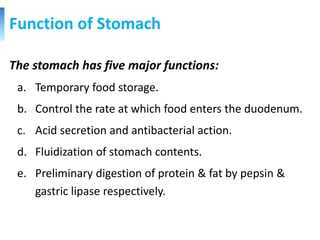 Digestive system Physiology1.pptx