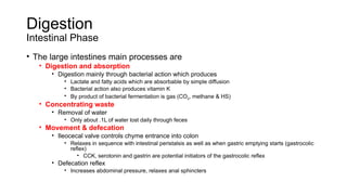 Digestive System Physiology lecture 2 (3).pptx