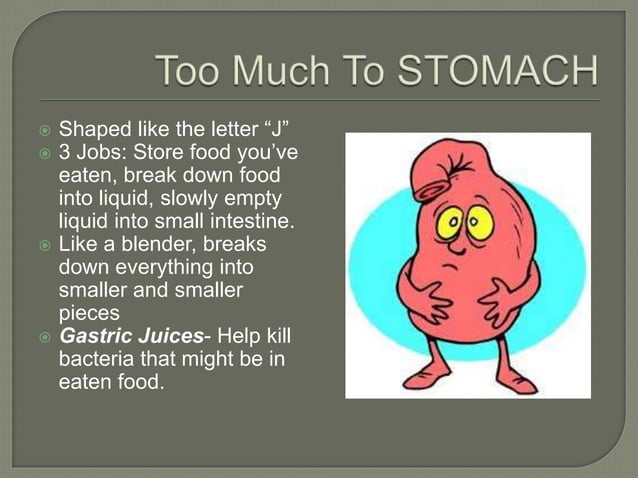 Digestive system power point | PPTX