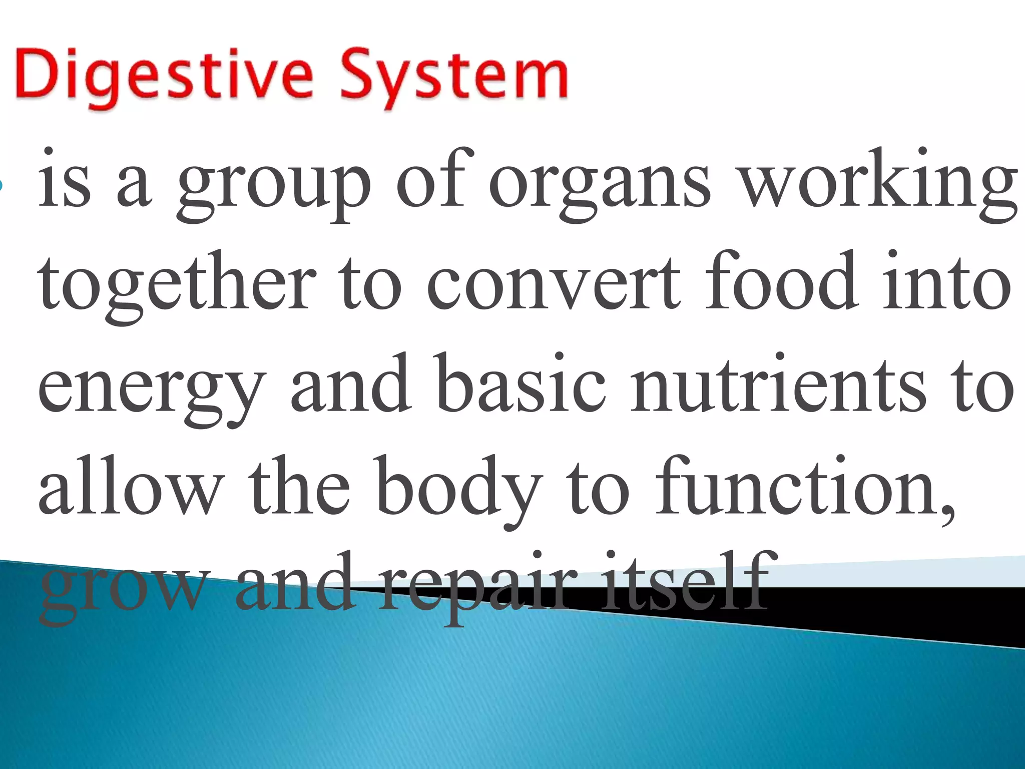 Digestive system powerpoint.pptx