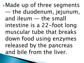 Digestive system powerpoint.pptx