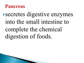 Digestive system powerpoint.pptx