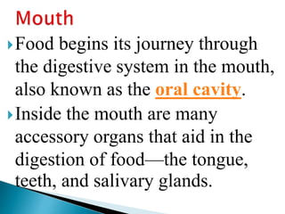 Digestive system powerpoint.pptx