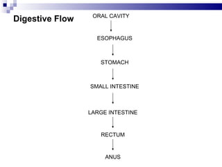 DIGESTIVE SYSTEM | PPT