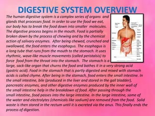 Digestive system | PPTX