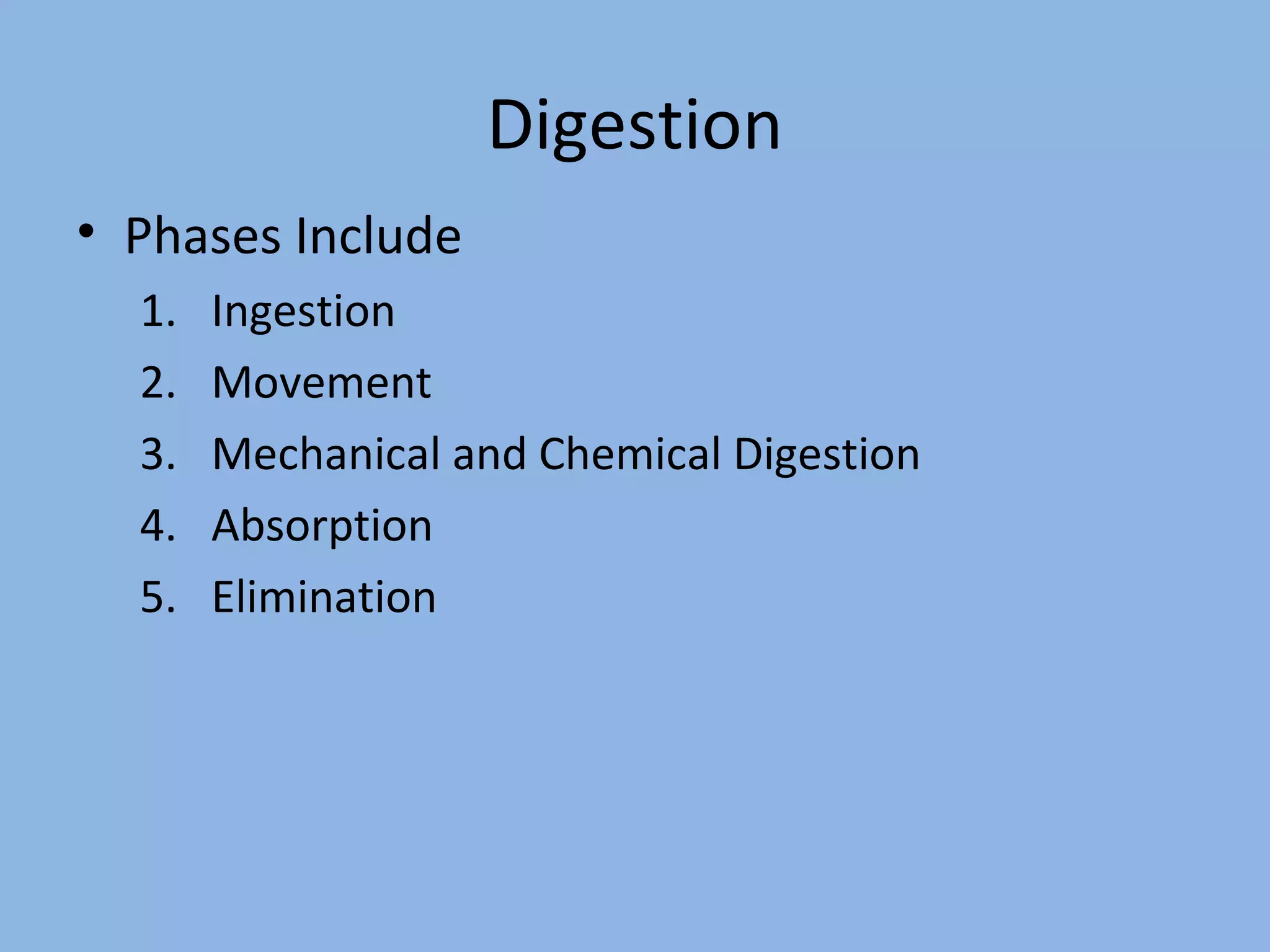 Digestive system ppt | PPT