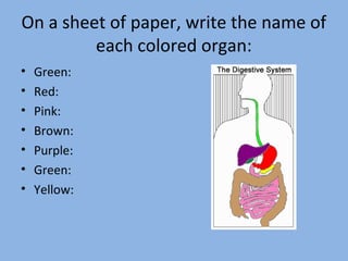 Digestive system ppt | PPT