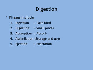 Digestive system ppt | PPT