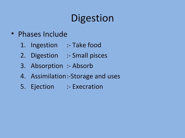 Digestive system ppt | PPT