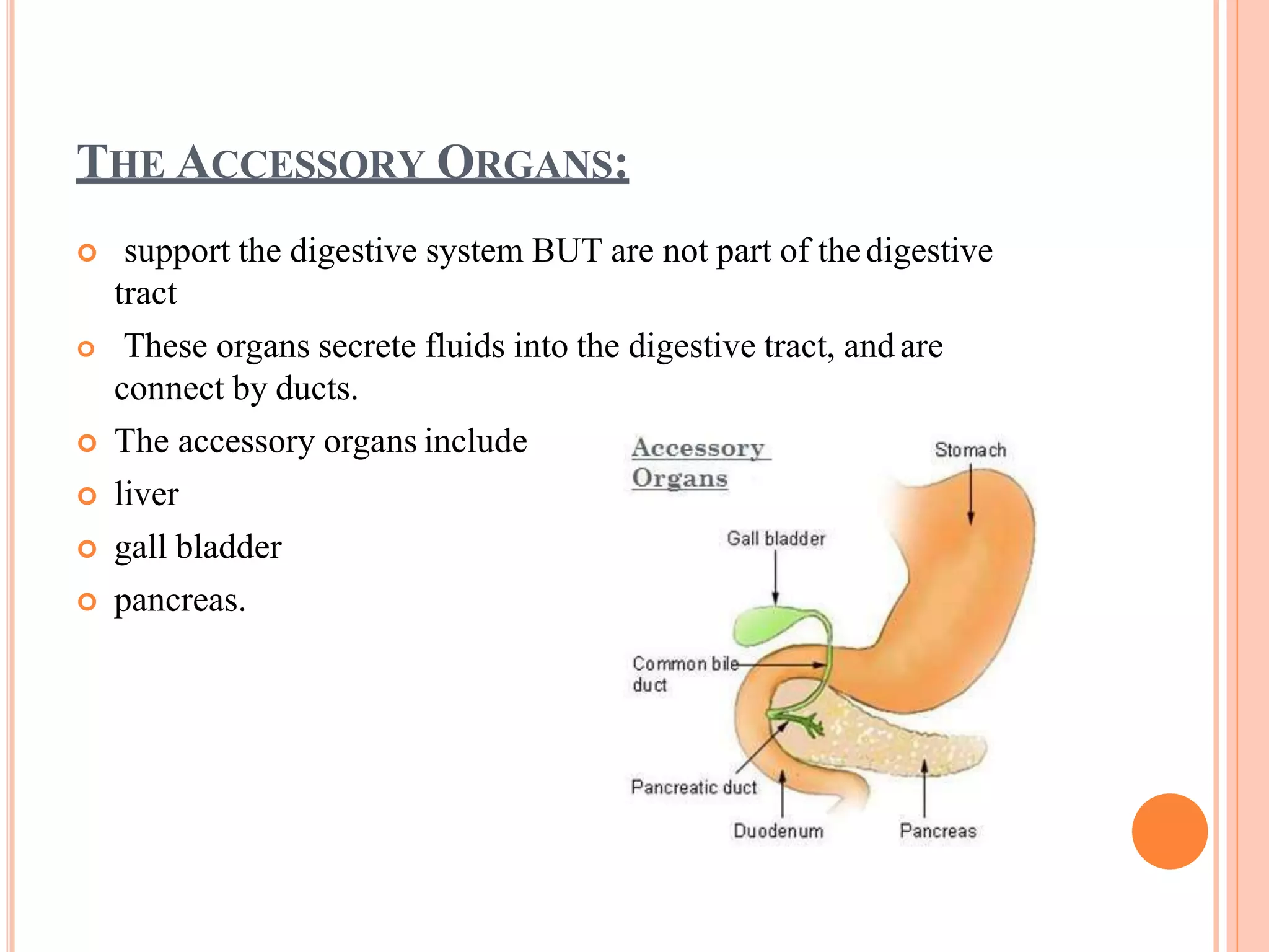 Digestive System Yatendra Singh | PPTX