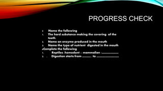 Digestive system | PPTX