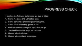 Digestive system | PPTX