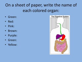 Digestive System PPT.pptx