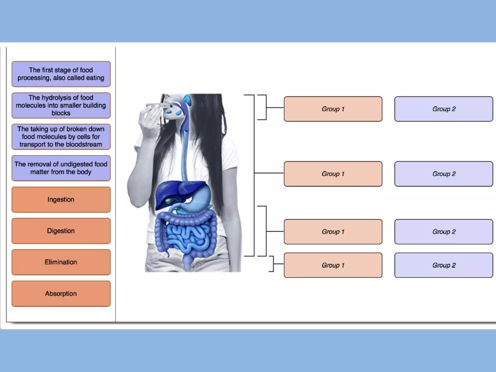 Digestive System PPT.pptx (1).pdf
