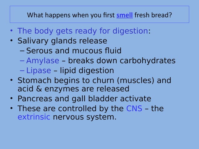 Digestive System PPT.pptx (1).pdf