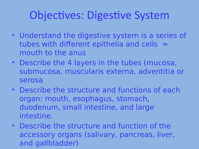 Digestive System PPT.pptx (1).pdf