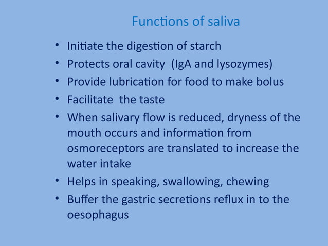 Digestive System PPT.pptx (1).pdf