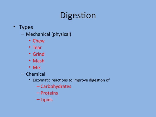 Digestive System PPT.pptx (1).pdf