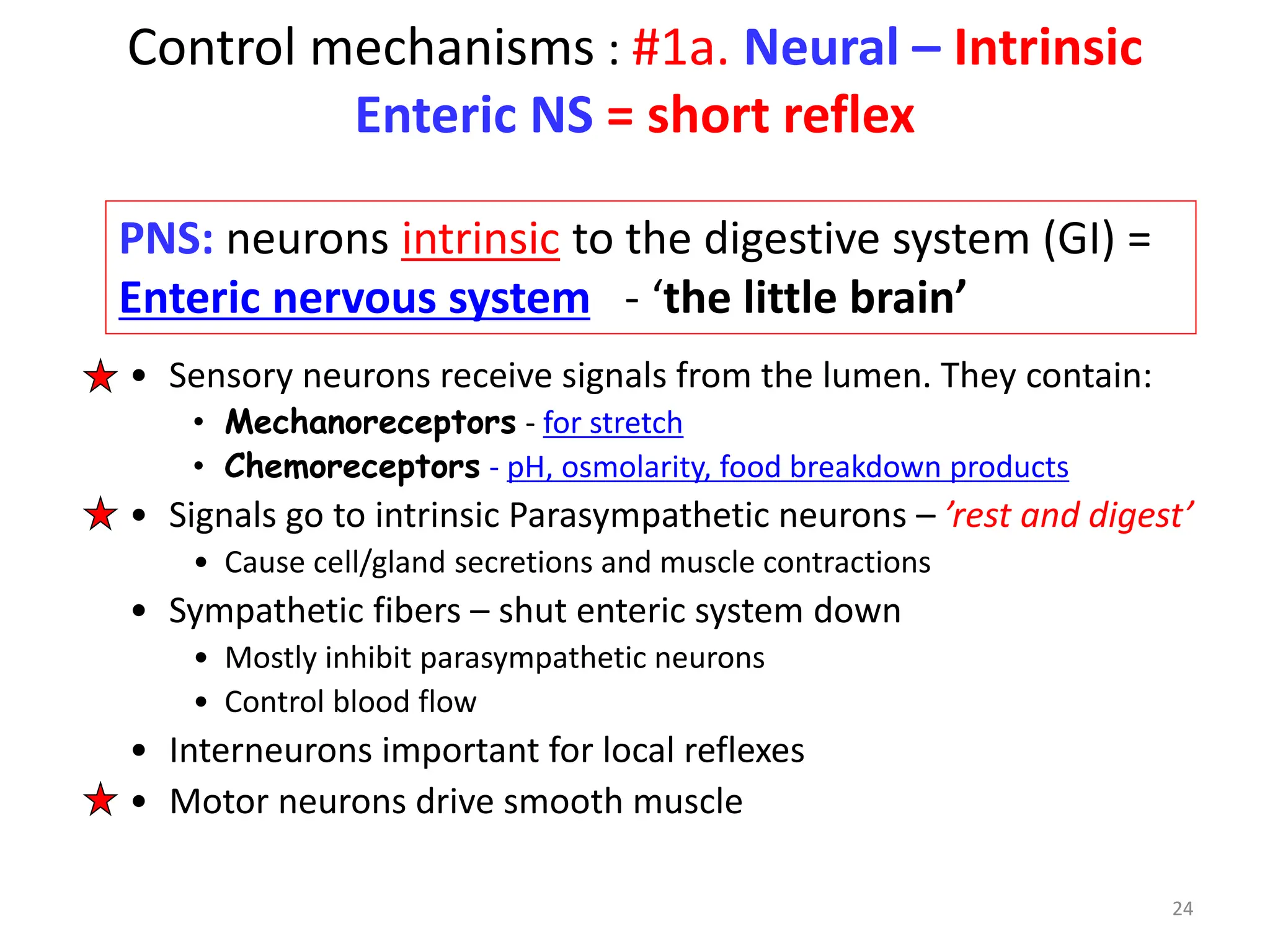 Digestive System PPT.ppt
