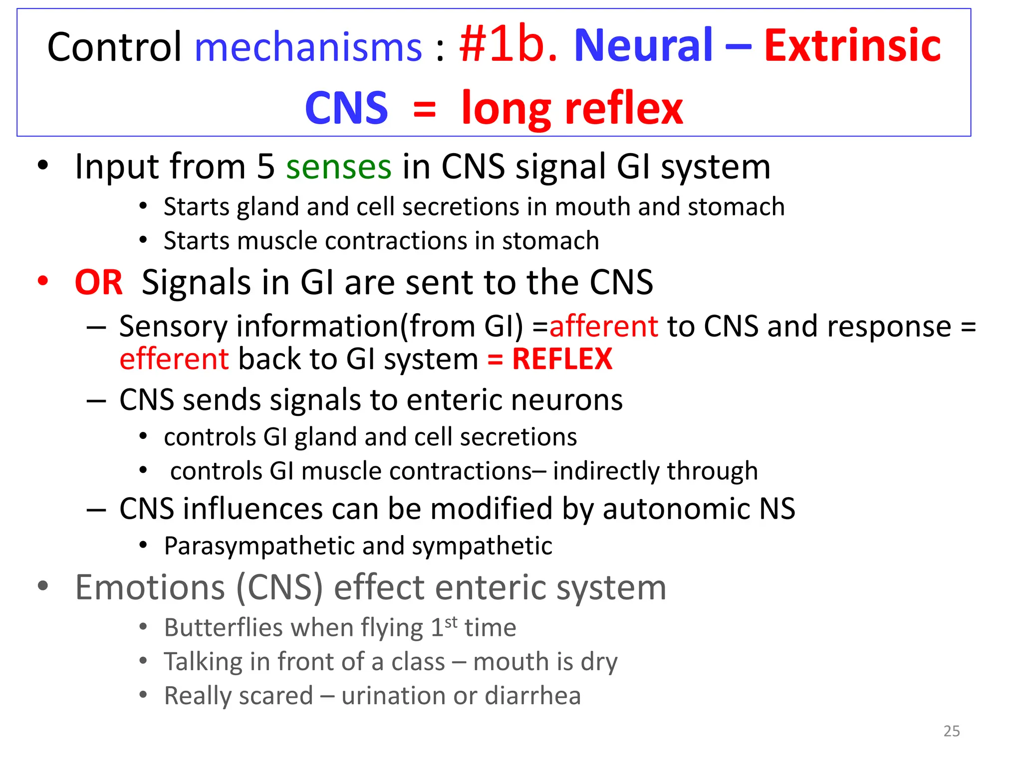Digestive System PPT.ppt