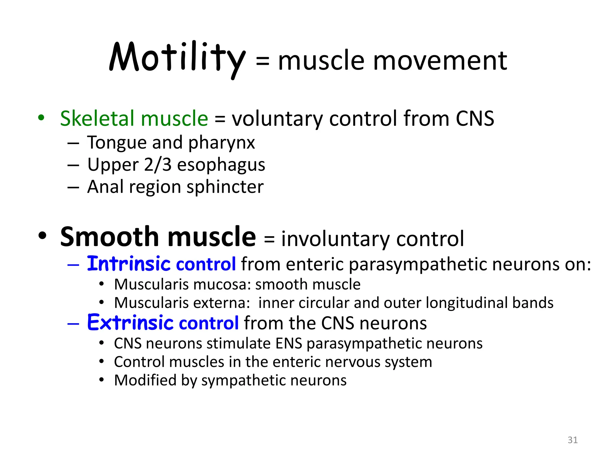Digestive System PPT.ppt