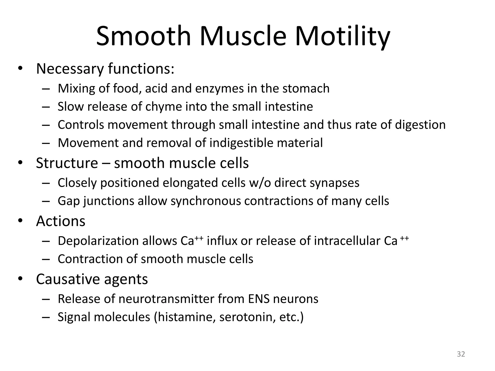 Digestive System PPT.ppt
