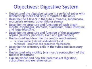 Digestive System PPT.ppt