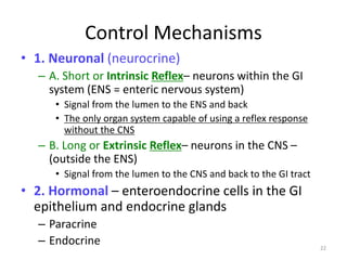 Digestive System PPT.ppt