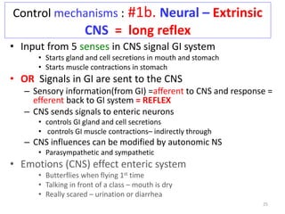 Digestive System PPT.ppt