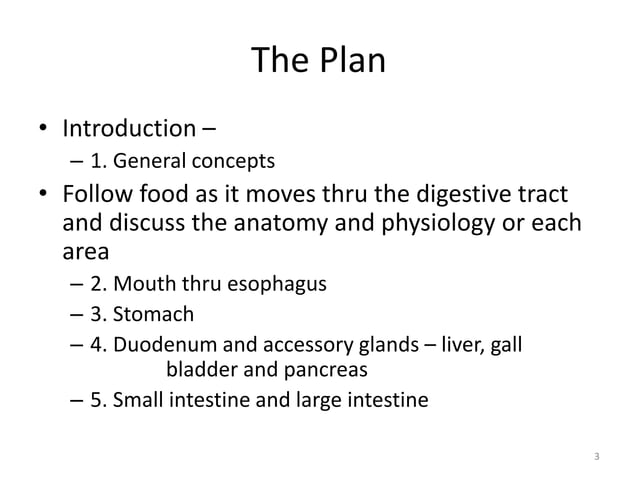 Digestive System PPT.ppt