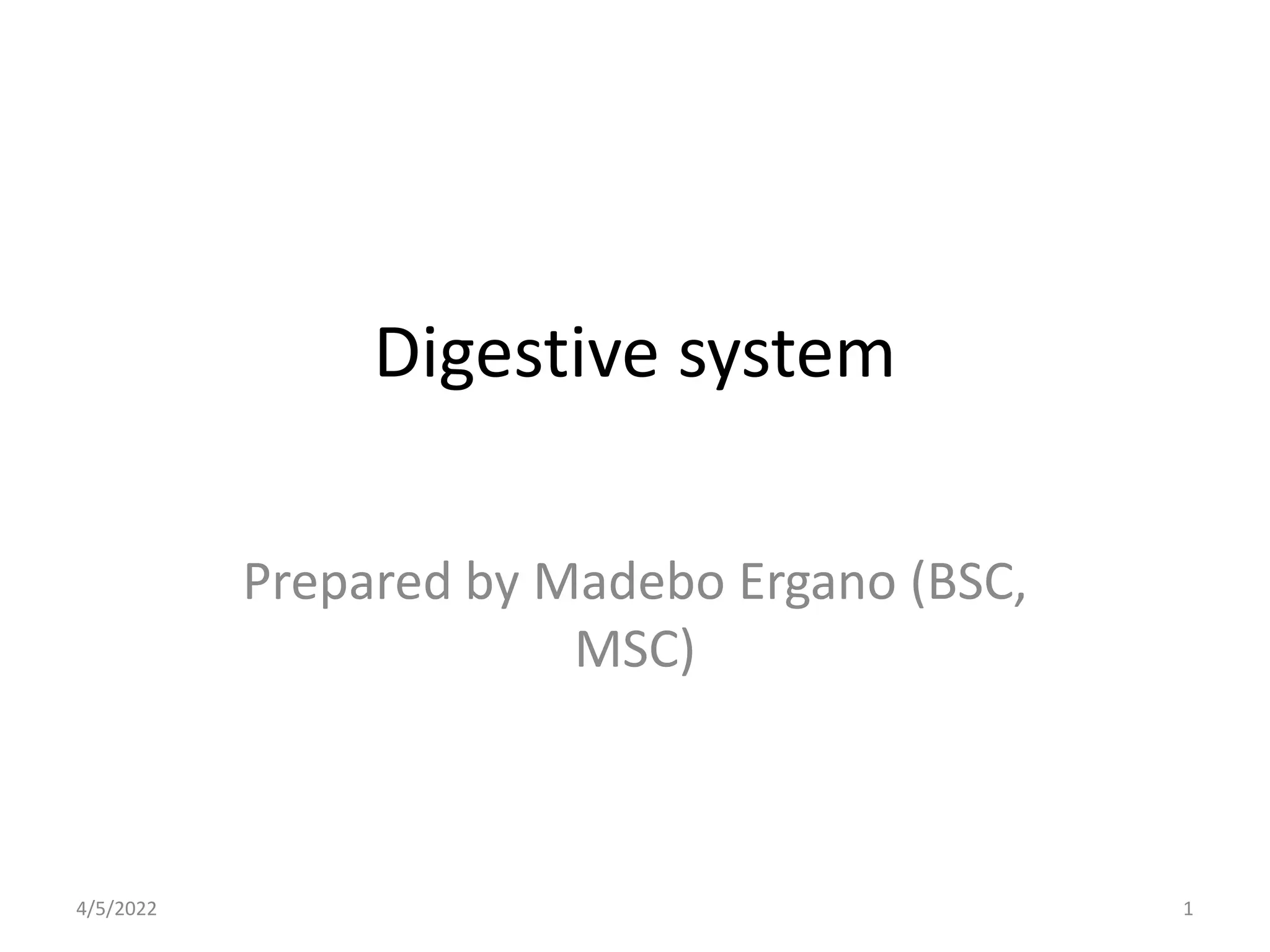 Digestive System ppt.pdf